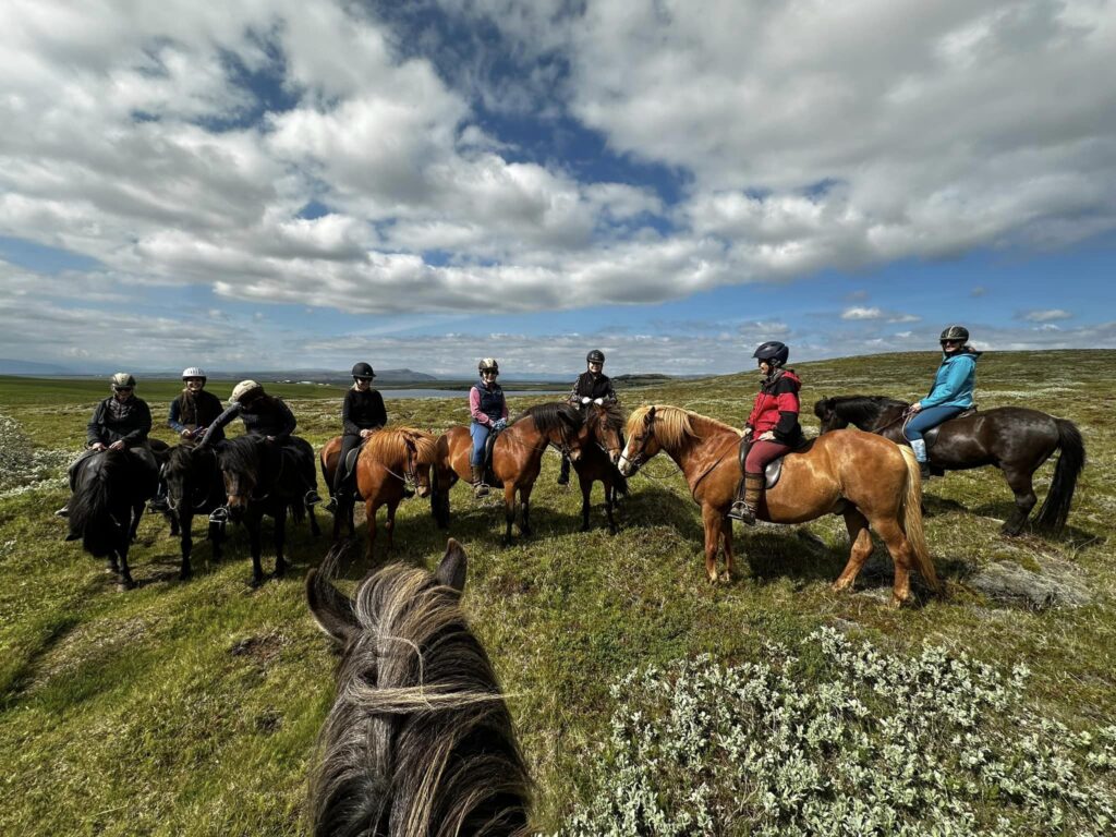 Meet Cowgirl Businesses In Cowgirl Magazine Jan/Feb 2025 Issue