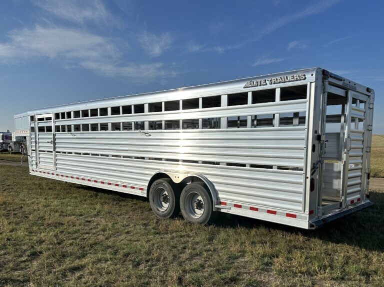 Rodeo Rigs | Cowgirl Biz