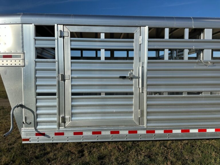 Rodeo Rigs – Cowgirl Biz